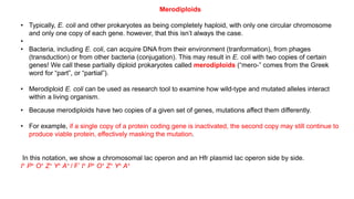 Lecture Merodiploids -lac genes_slideshare.pdf