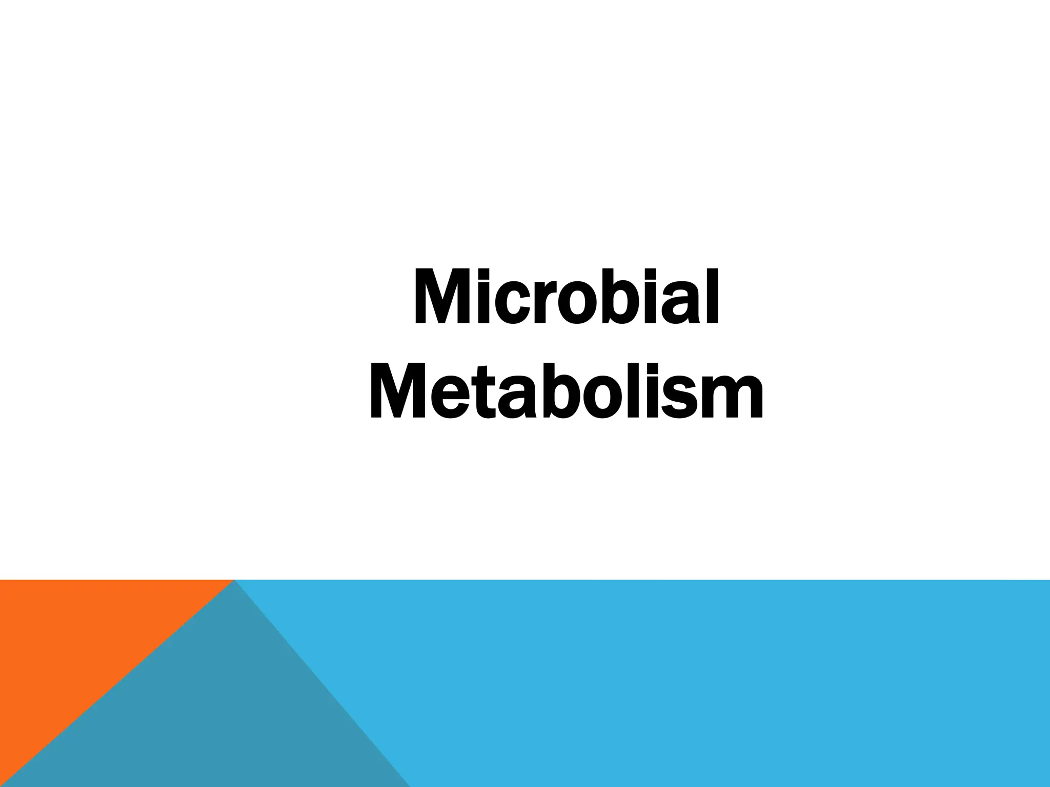 Lecture; Microbial Metabolism, Class ppt.ppt