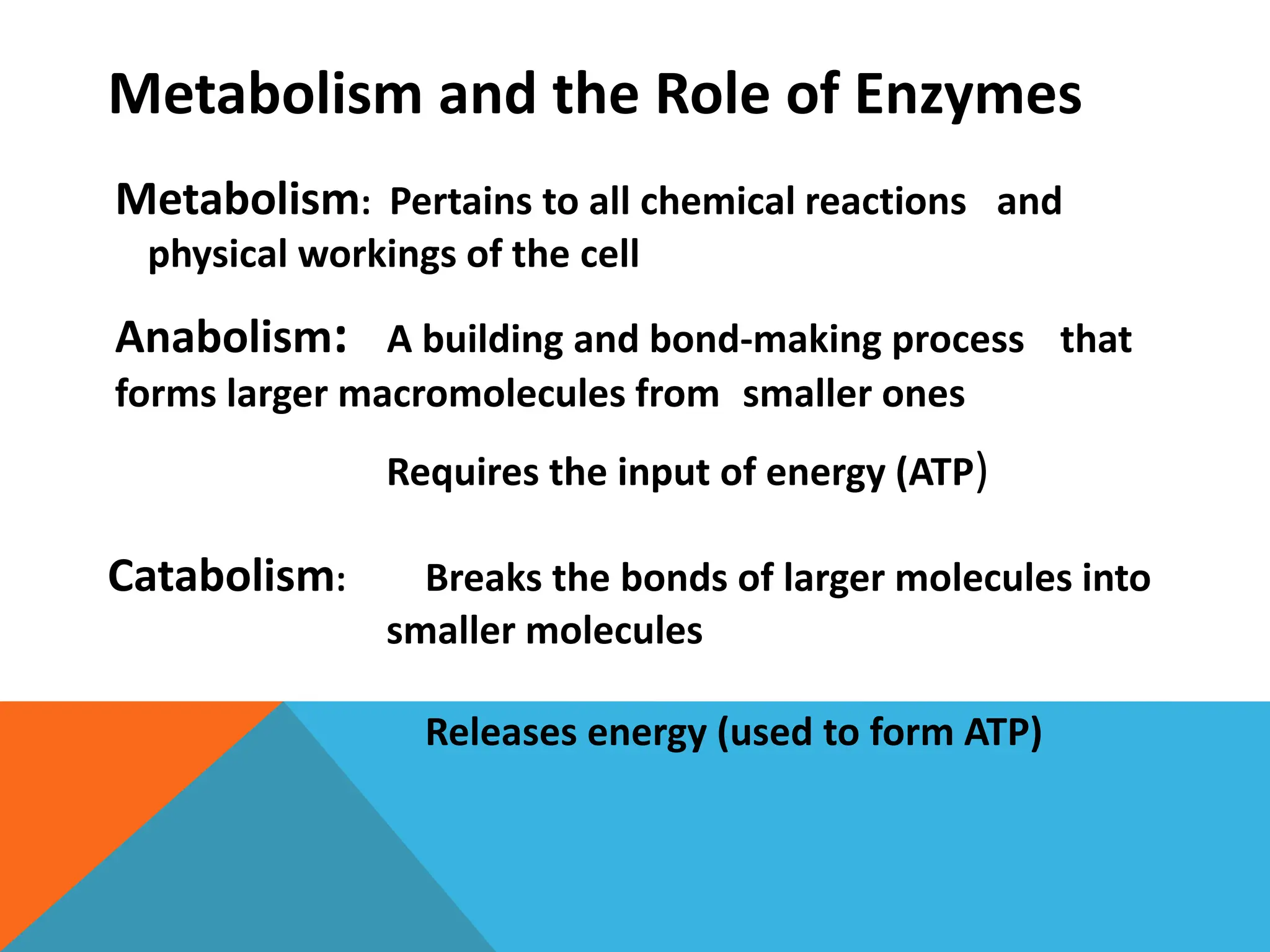 Lecture; Microbial Metabolism, Class ppt.ppt