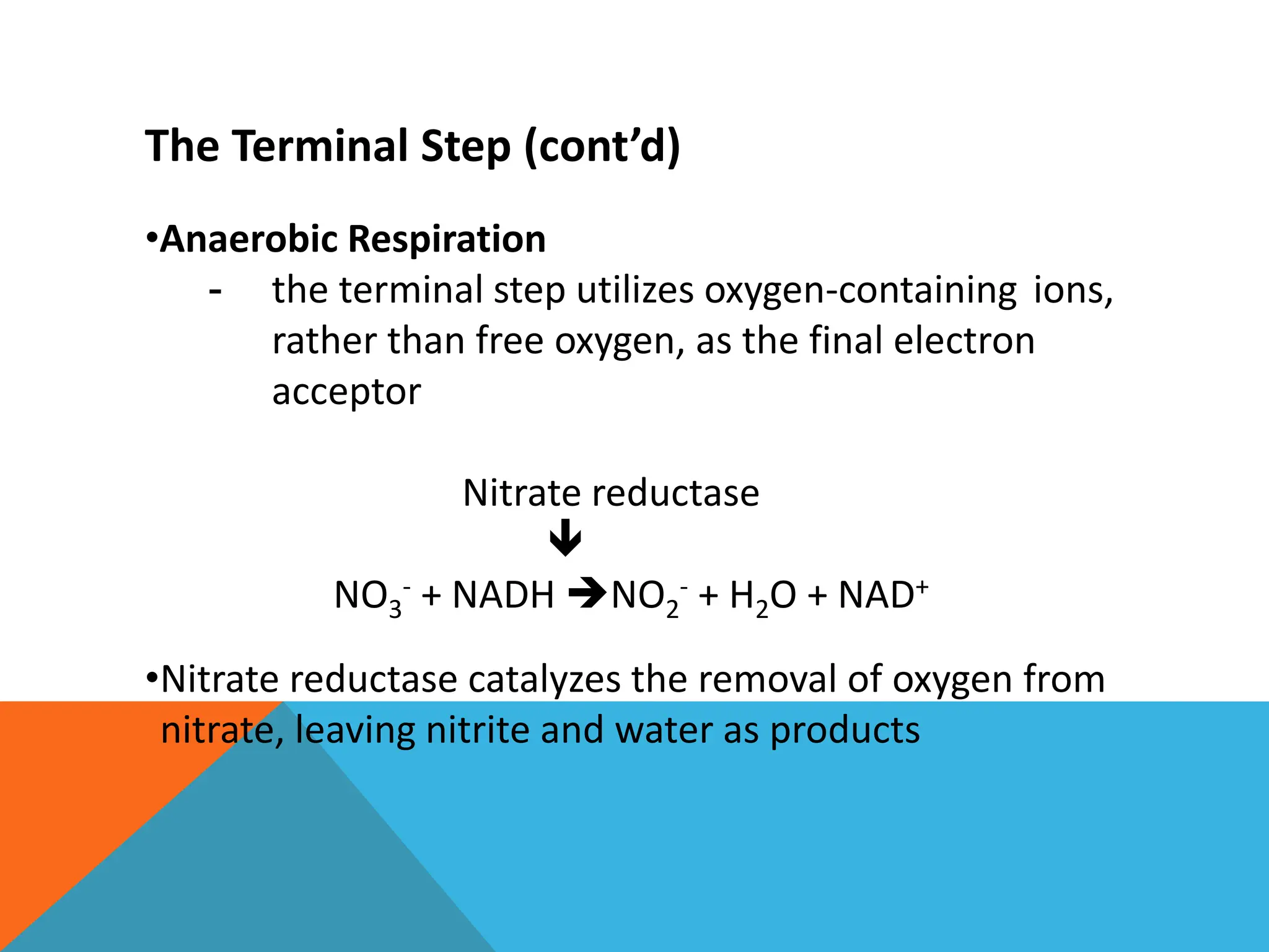Lecture; Microbial Metabolism, Class ppt.ppt