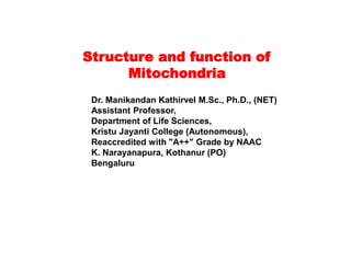 Lecture: Structure and Function of Mitochondria.pptx