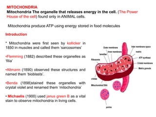 Lecture: Structure and Function of Mitochondria.pptx