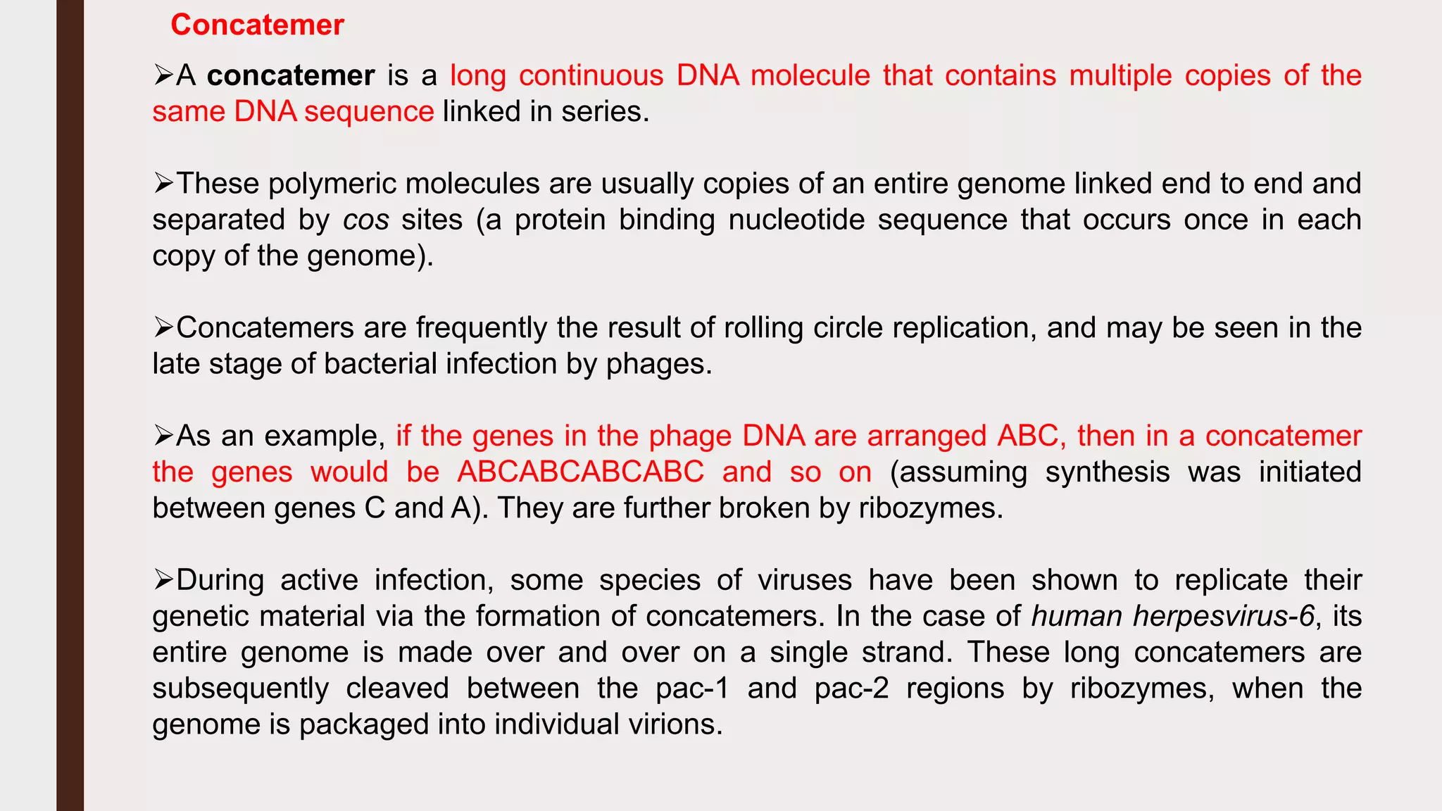 MODELS OF REPLICATION | PDF