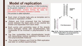 MODELS OF REPLICATION | PDF