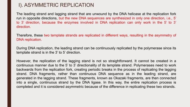 MODELS OF REPLICATION | PDF | Chemistry | Science