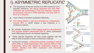 MODELS OF REPLICATION | PDF