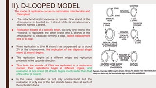 MODELS OF REPLICATION | PDF