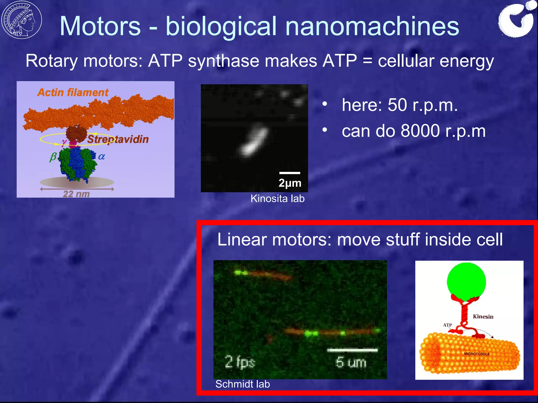 Lecture: Modeling intracellular cargo transport by several molecular ...