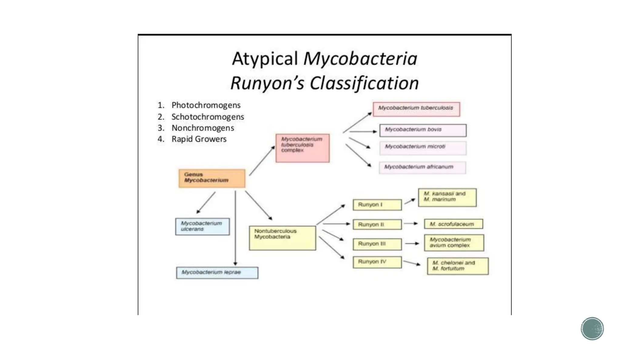 Lecture Mycobacterium12345566778889.pptx