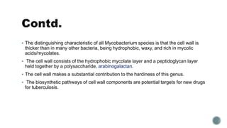 Lecture Mycobacterium12345566778889.pptx