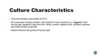 Lecture Mycobacterium12345566778889.pptx