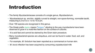 Lecture Mycobacterium12345566778889.pptx