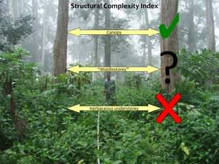 Lecture by Dr. Lyndon Estes | PDF