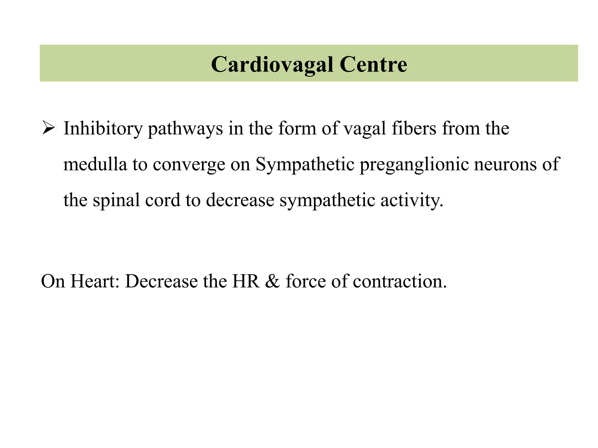Lecture nerual regulation of circulation | PDF