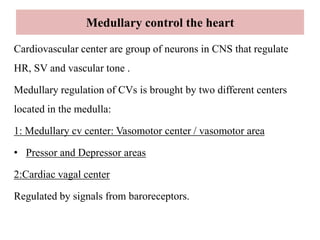 Lecture nerual regulation of circulation | PDF