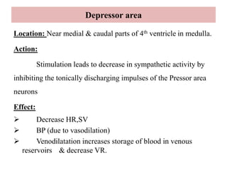Lecture nerual regulation of circulation | PDF