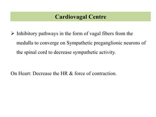 Lecture nerual regulation of circulation | PDF