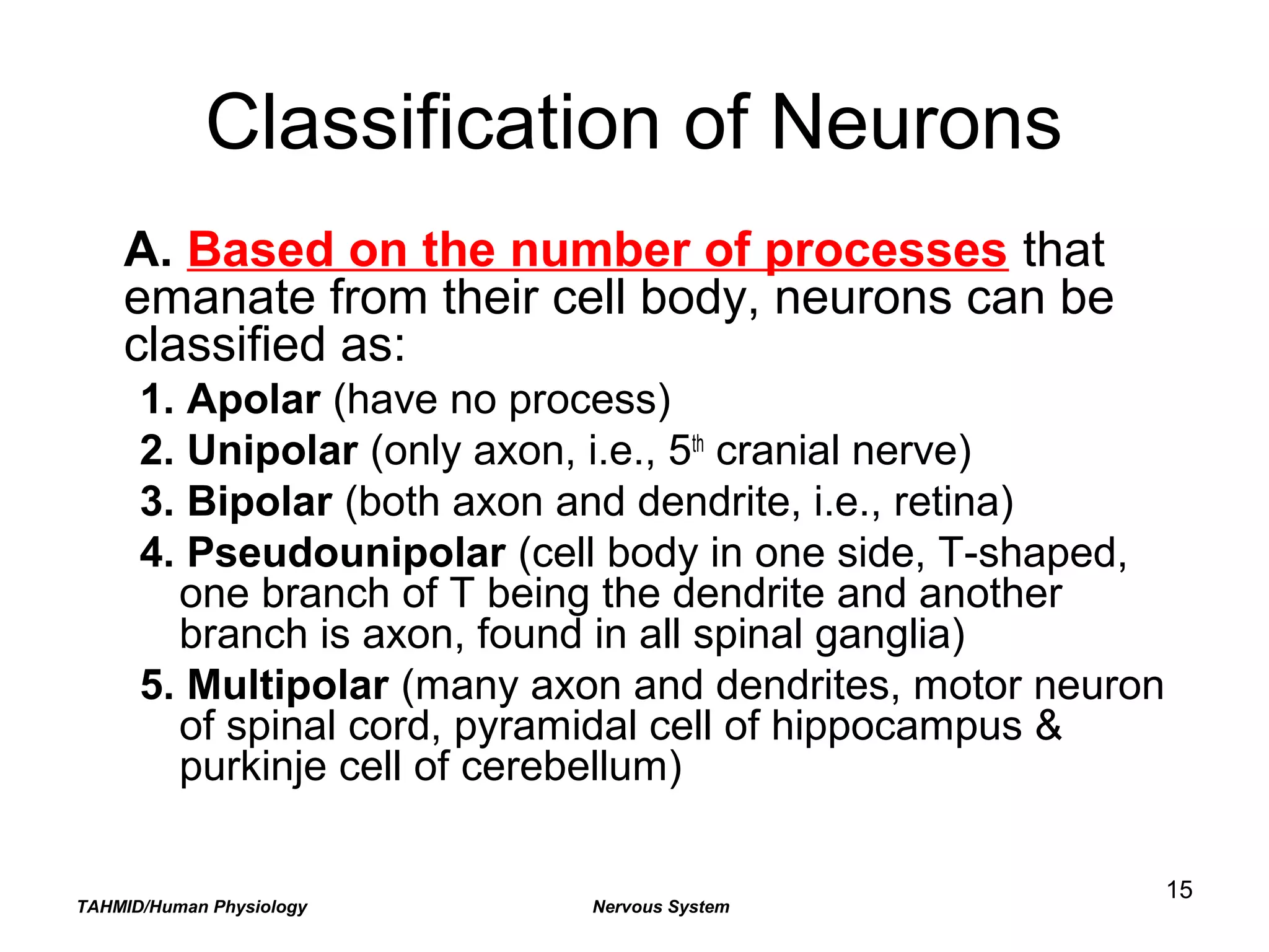 Nervous system | PPT