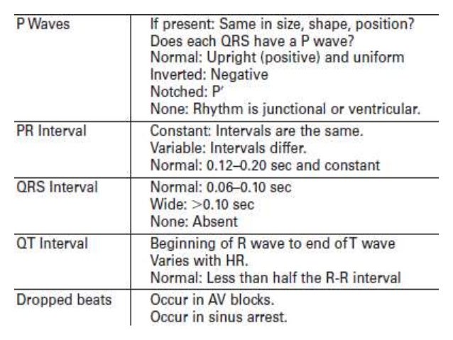 CVS Lecture no.2 ECG