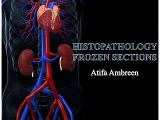 Lecture no. 3 Frozen sections | PPT