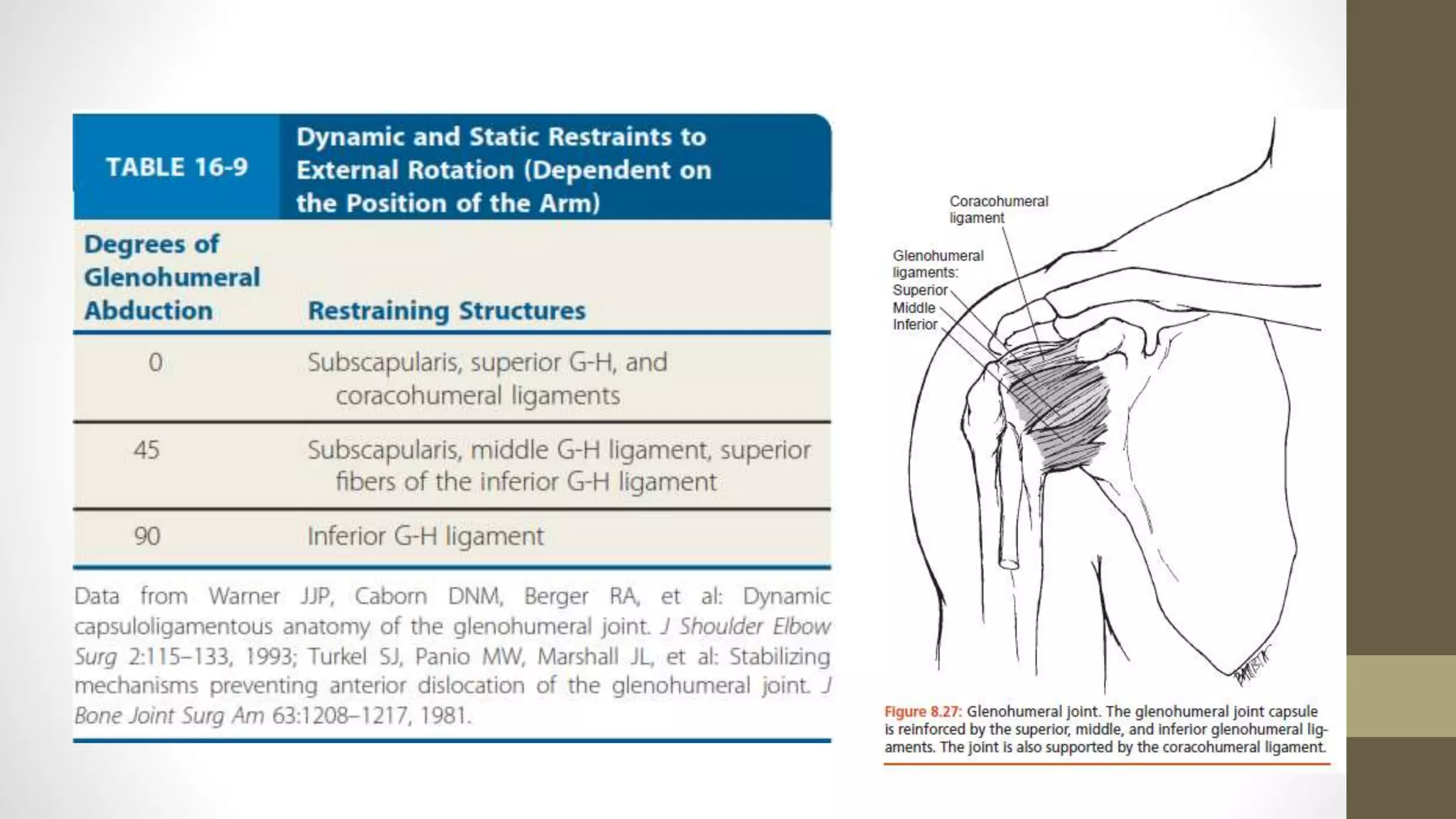 Shoulder Biomechanics -.pptx | Death, Injury, or Military Conflict ...