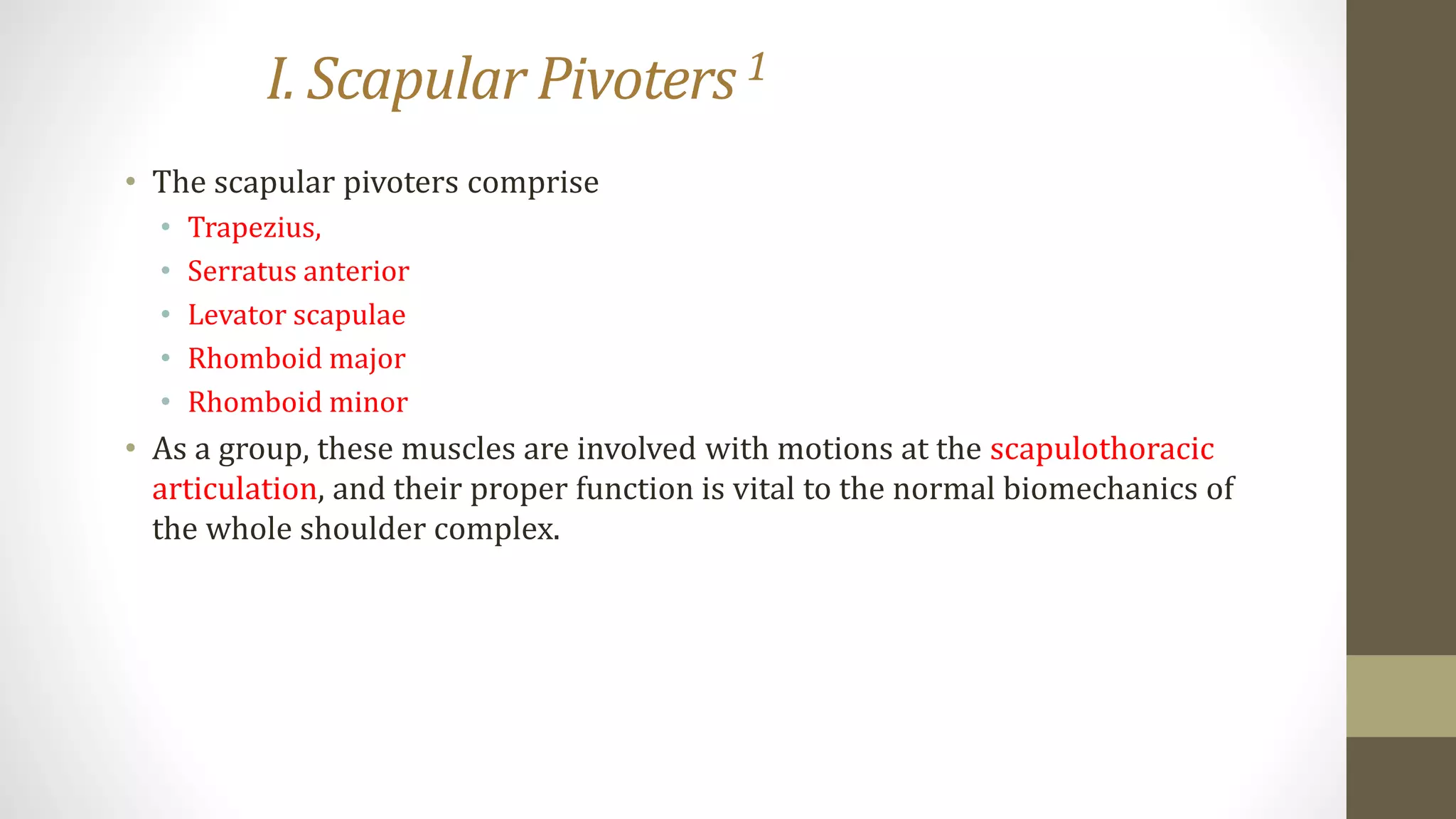 Shoulder Biomechanics -.pptx | Death, Injury, or Military Conflict ...