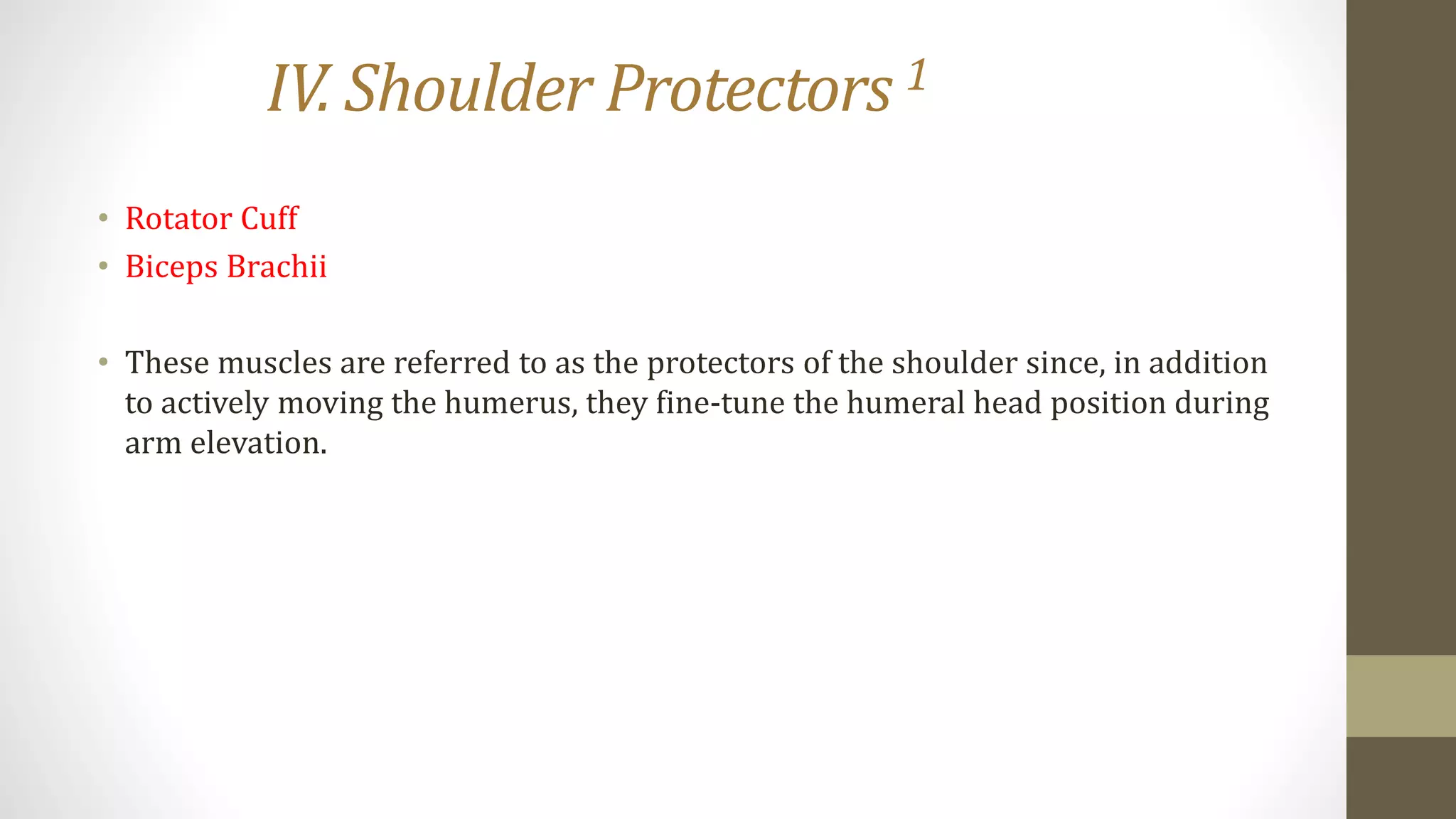 Shoulder Biomechanics -.pptx
