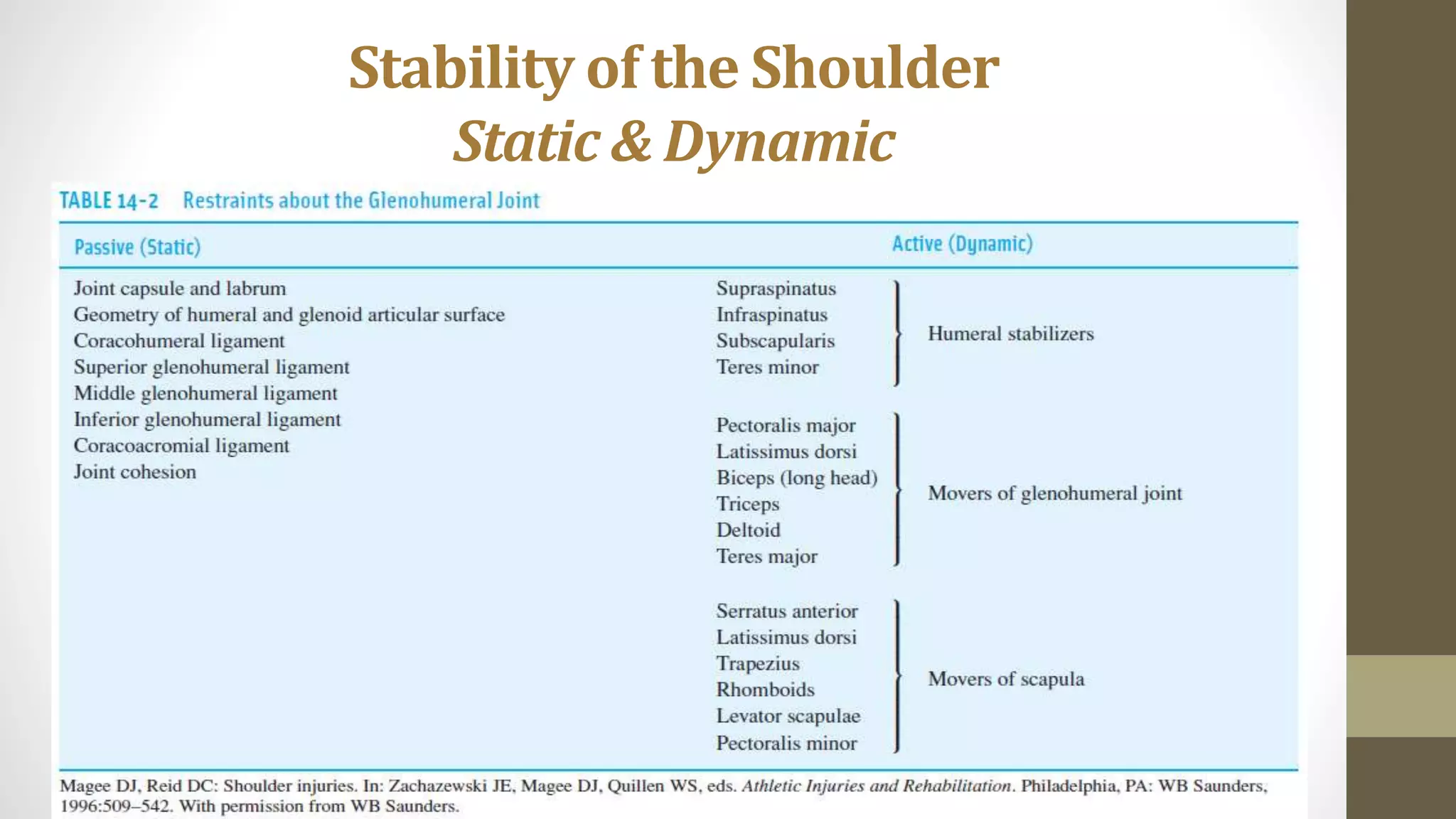 Shoulder Biomechanics -.pptx | Death, Injury, or Military Conflict ...