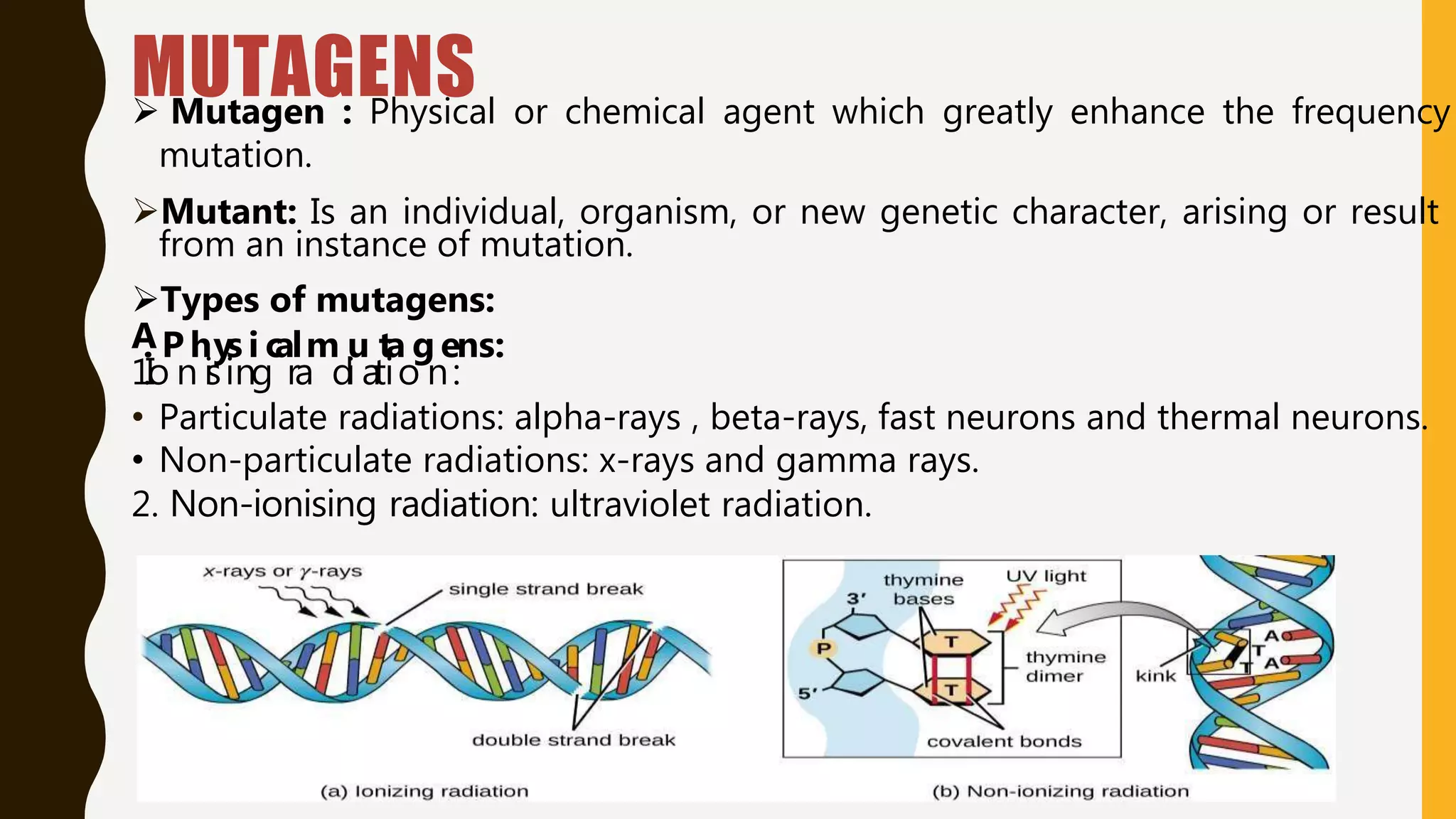 Mutation Breeding | PPT