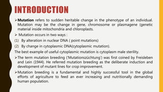 Mutation Breeding | PPT