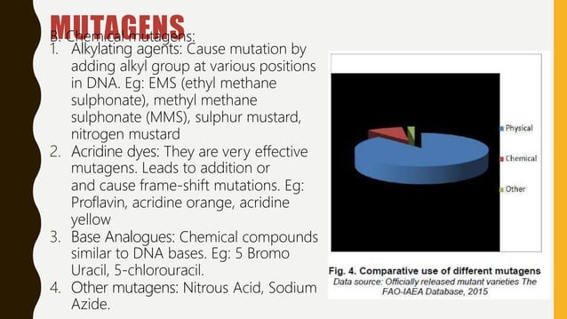 Mutation Breeding | PPT