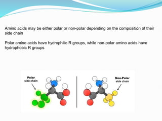 Lecture no. 2 basics of biochemistry - | PPT