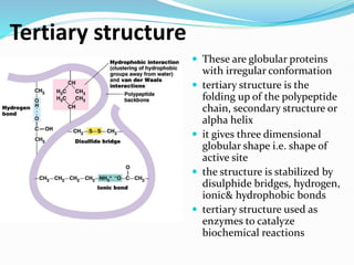 Lecture no. 2 basics of biochemistry - | PPT