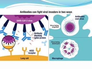 Lecture no. 2 basics of biochemistry - | PPT