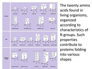 lecture no. 3 biochemistry (clinical biochemistry) | PPT