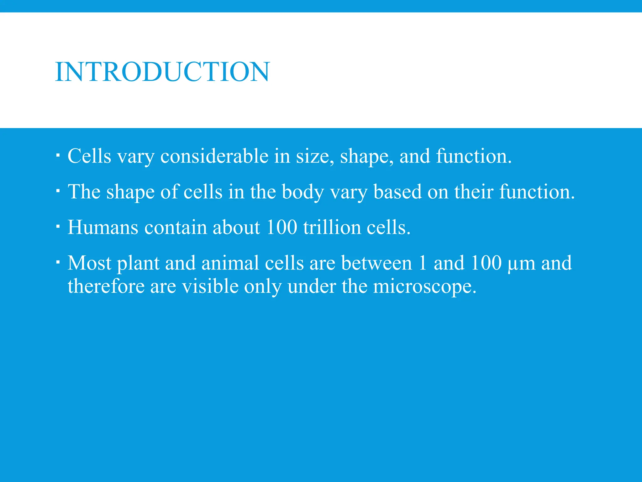 Lecture No 004.1 Cell_structure_function.ppt