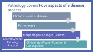 Introduction to Pathology and how to describe a Lesion | PDF