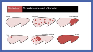 Introduction to Pathology and how to describe a Lesion | PDF