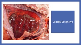 Introduction to Pathology and how to describe a Lesion | PDF