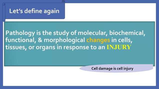Introduction to Pathology and how to describe a Lesion | PDF | Diseases ...