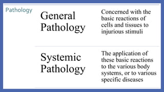 Introduction to Pathology and how to describe a Lesion | PDF