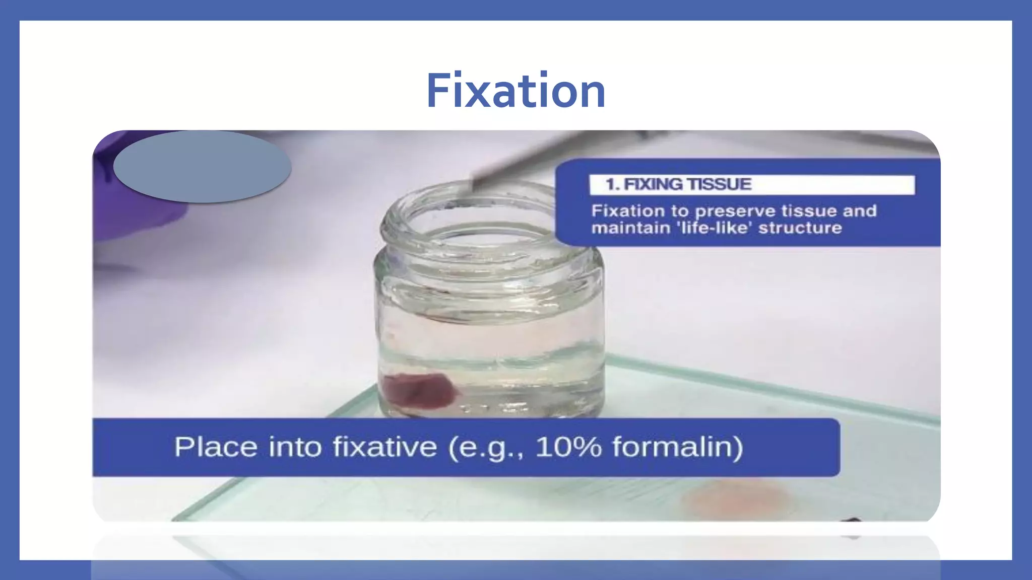 Histopathology , Sample collection to Wax infiltration (Tissue ...