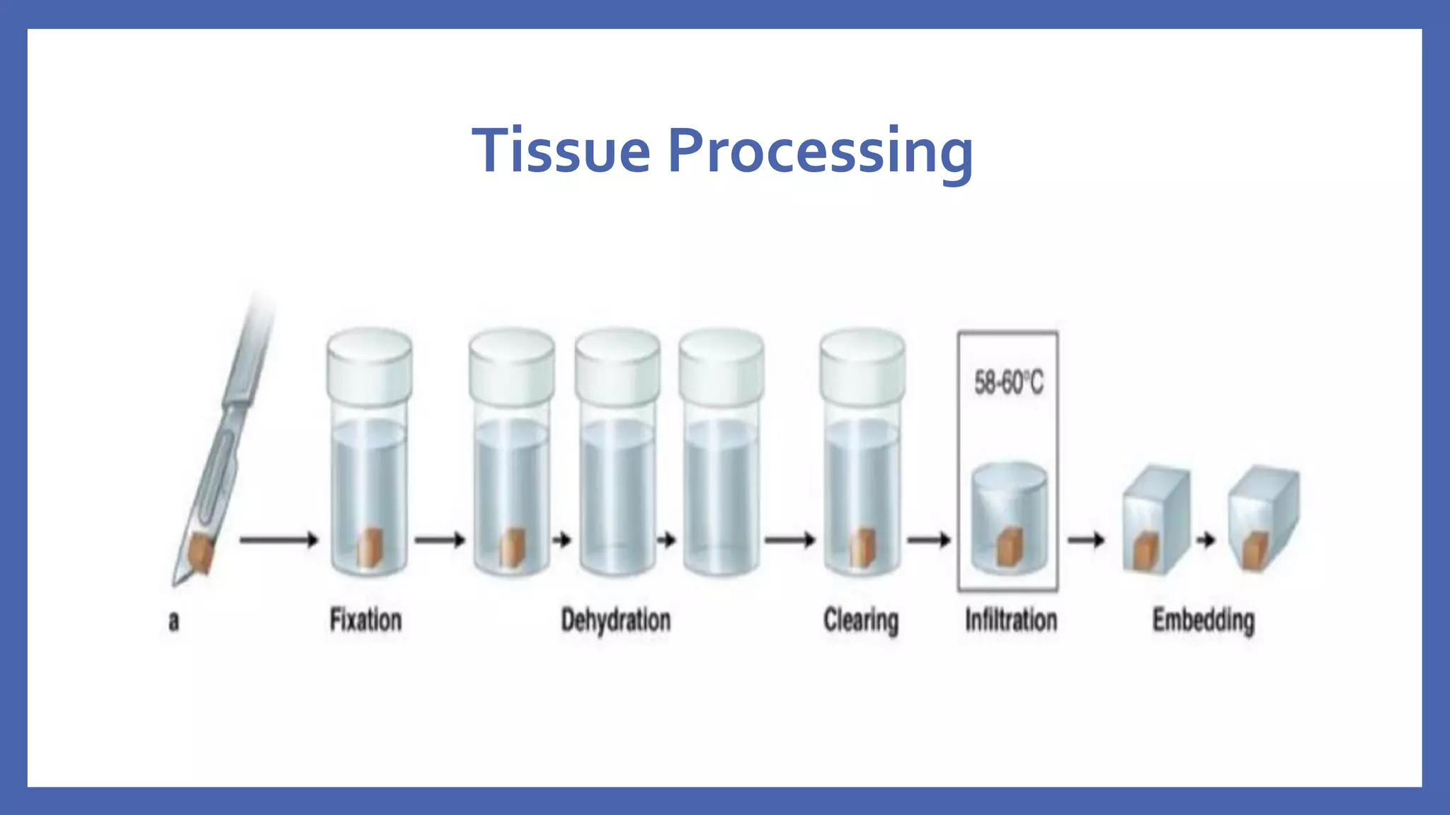 Histopathology , Sample collection to Wax infiltration (Tissue ...
