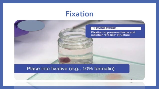 Histopathology , Sample collection to Wax infiltration (Tissue ...