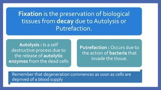 Histopathology , Sample collection to Wax infiltration (Tissue ...