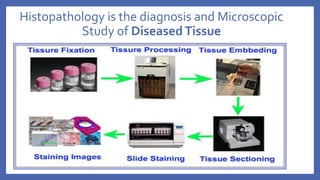 Histopathology , Sample collection to Wax infiltration (Tissue ...
