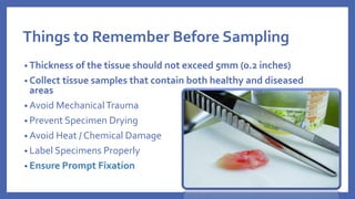 Histopathology , Sample collection to Wax infiltration (Tissue ...