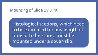 Histopathology Embedding to Staining the Slides | PDF