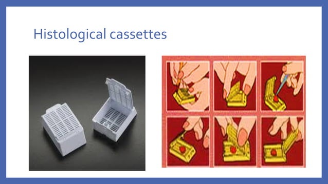 Histopathology Embedding to Staining the Slides
