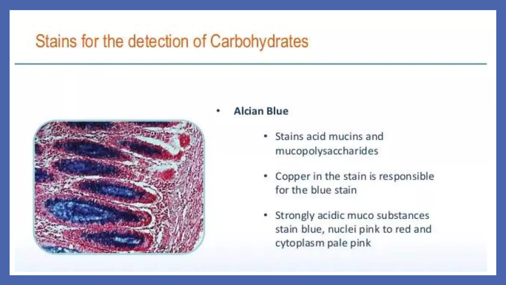 Special Stains used in Histopathology and Biopsy | PDF
